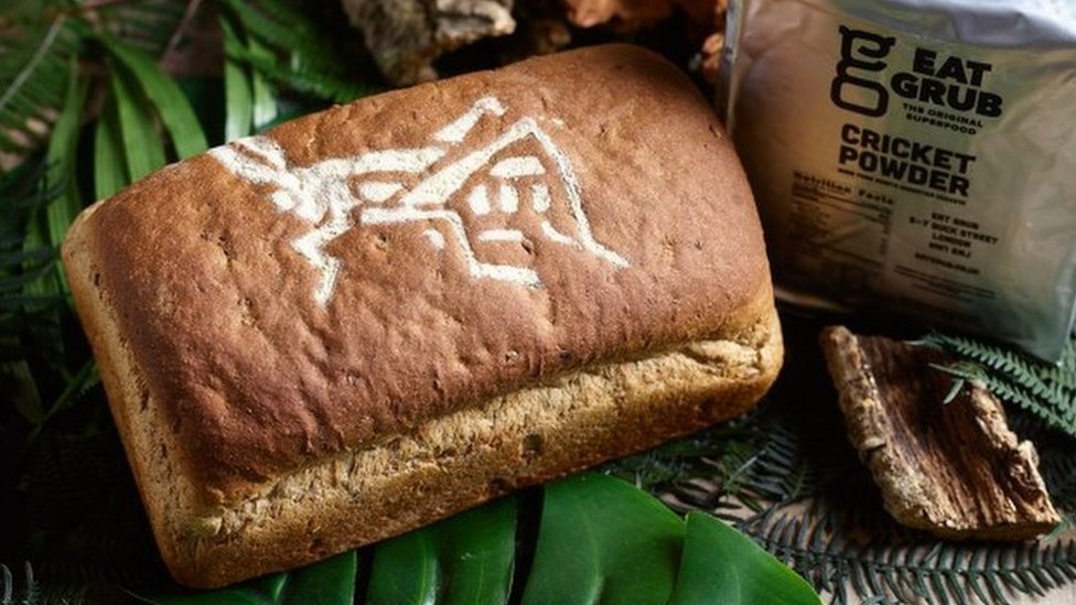 Would you try insect bread? - CBBC Newsround