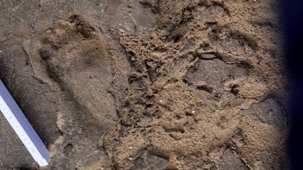 9,000-year-old human footprints found on Formby Beach! - CBBC Newsround