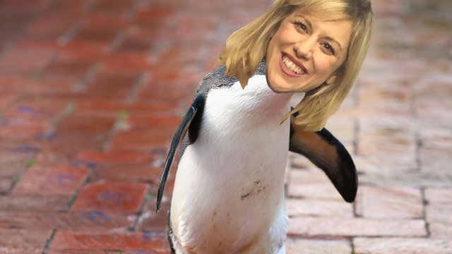 How to walk on ice without slipping - BBC Newsround