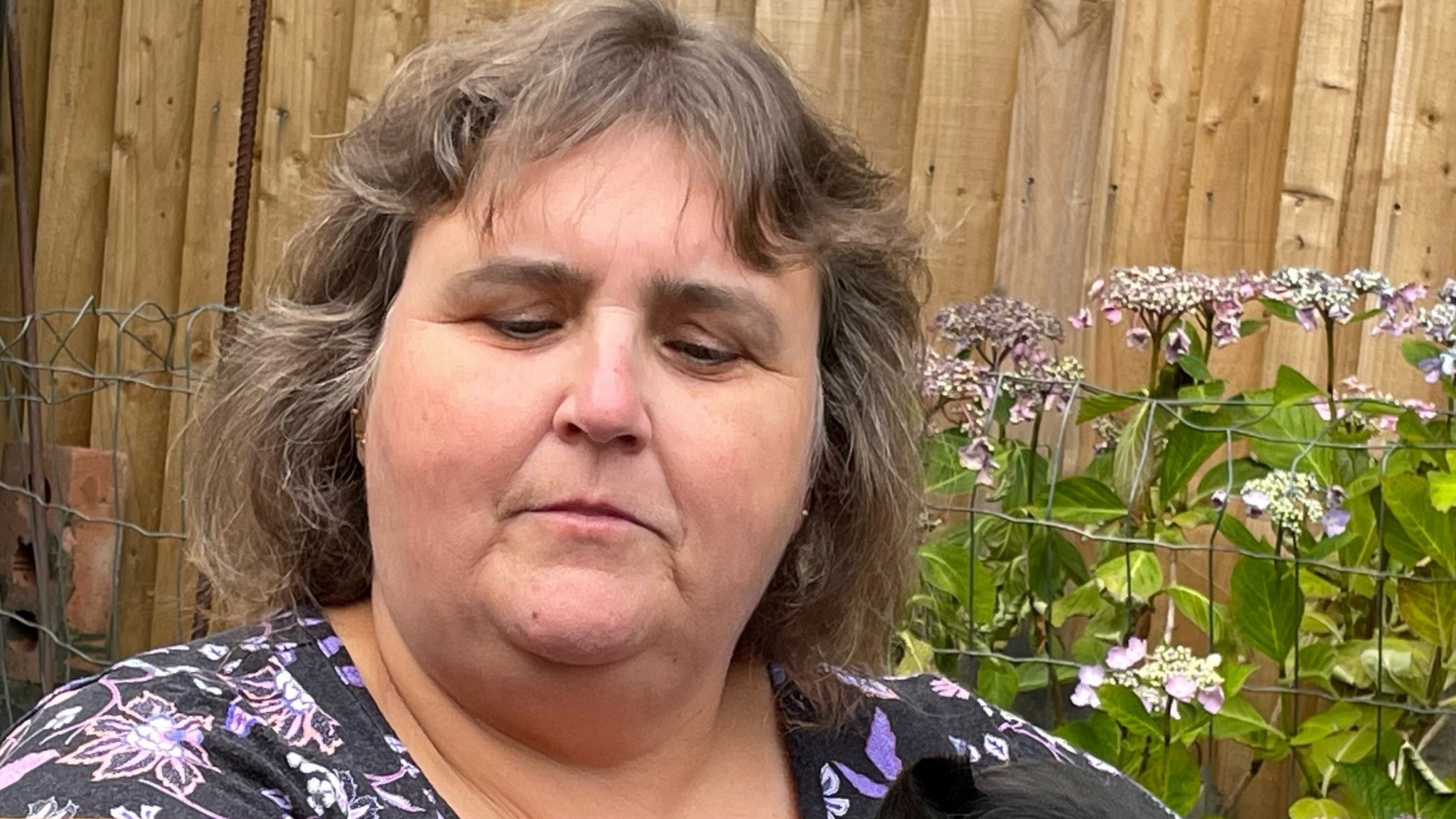 Alison Hancock's Instagram, Twitter & Facebook on IDCrawl