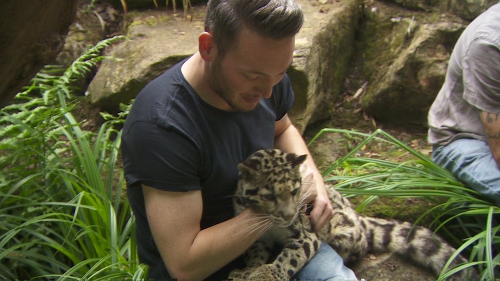 Thirsty leopard gets head stuck in pot for six hours - BBC Newsround