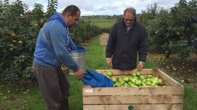 Russian cider request inspires Somerset family to export - BBC News
