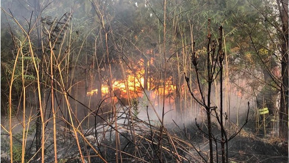 Ringwood Forest fire sends smoke and ash over towns - BBC News
