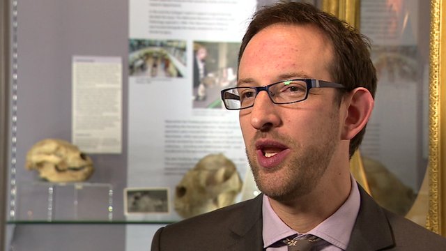 Winnie's skull goes on display in medical museum - BBC News