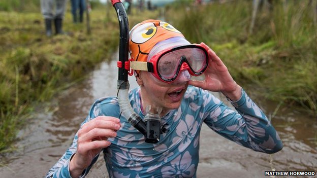 World bog snorkelling championships marks 30th anniversary - BBC News