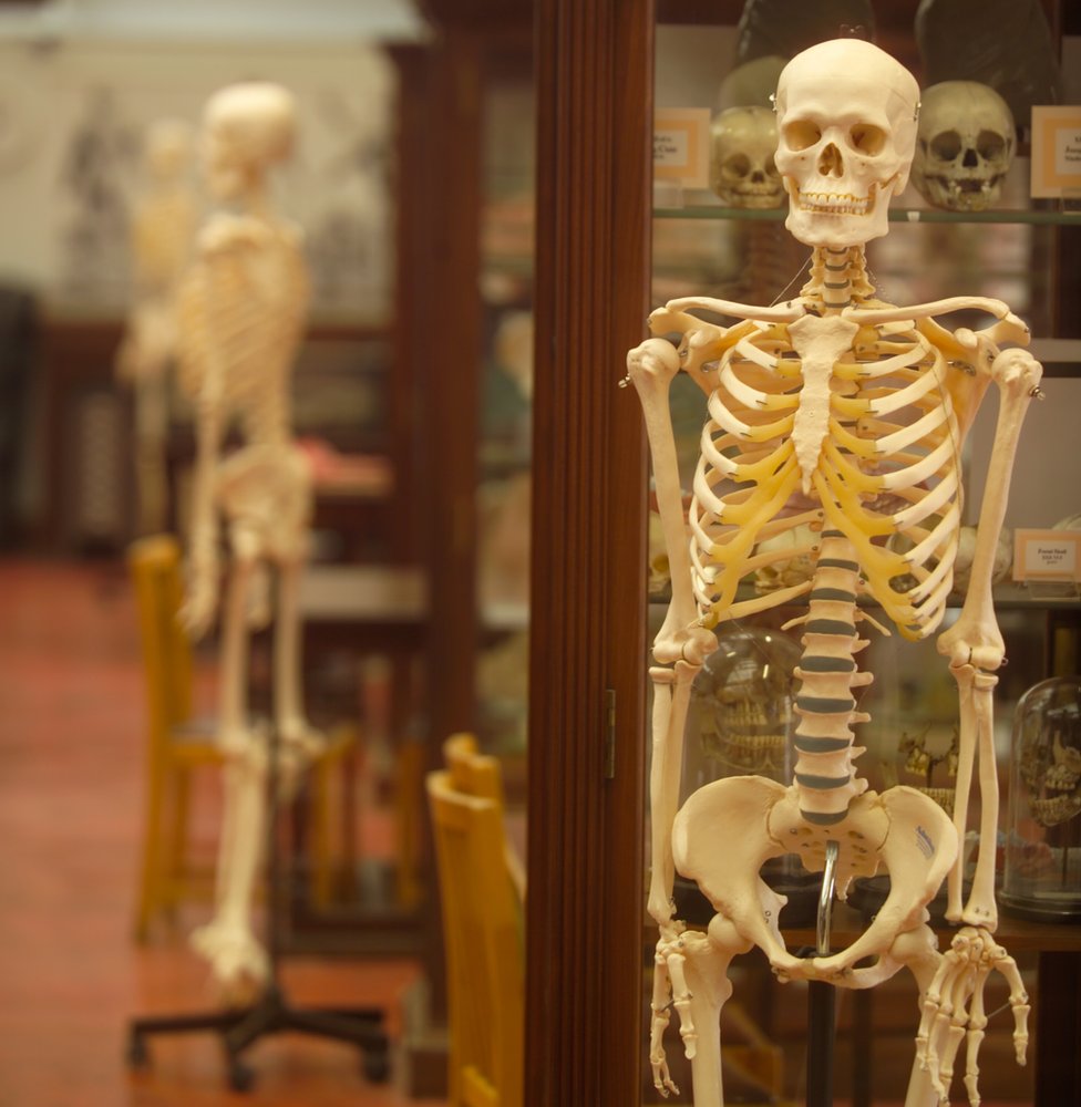 After Hours: Museums at Night festival in Scotland - BBC News