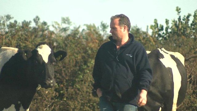 Bovine TB: Meidrim farmer faces up to cattle slaughter - BBC News