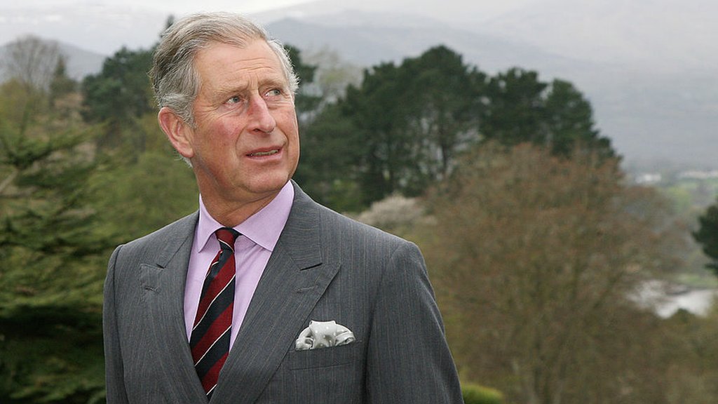 King Charles co-writes children's book about the environment - CBBC ...