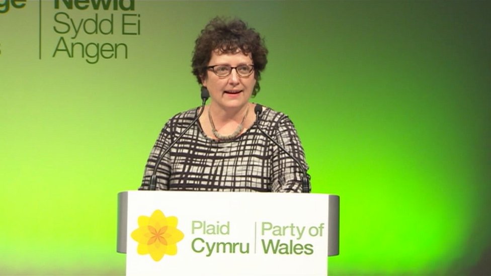 Plaid 'could take power with 20 seats', says senior party AM - BBC News