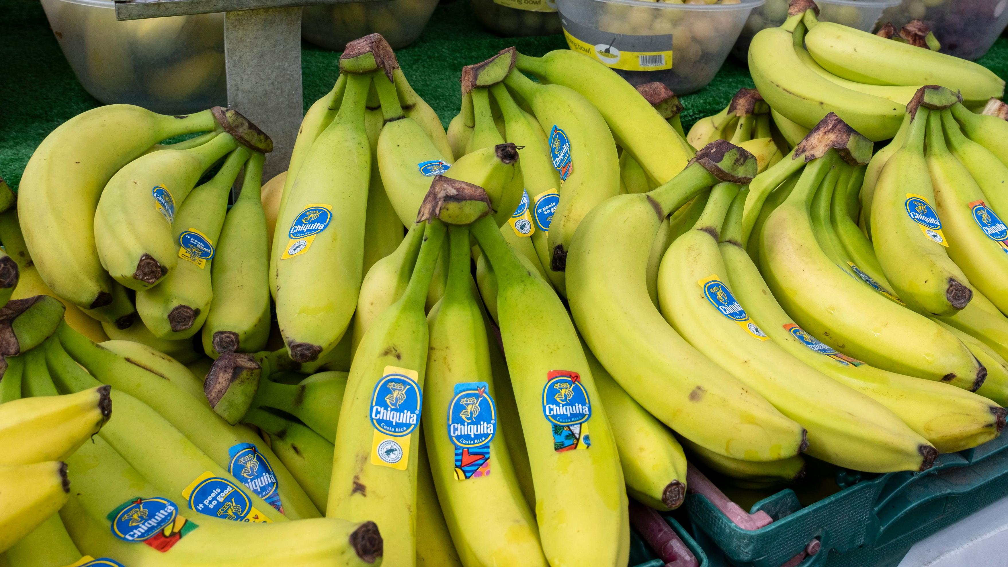 Chiquita Banana