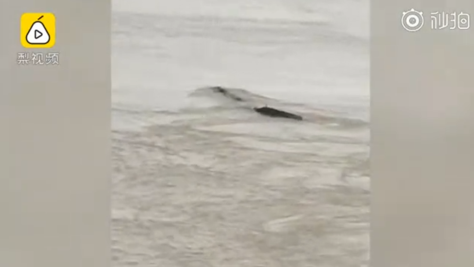 Monstros Do Rio Enfrentam O Estripador Hell Divine Magazine 01 By Hell