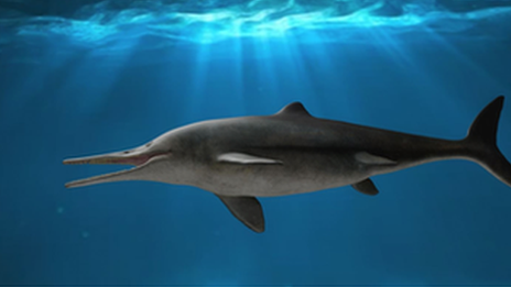 Ichthyosaur: Scientists discover huge ancient swordfish-like creature ...