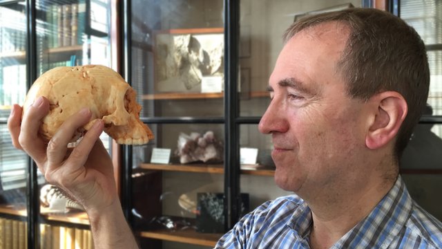 'Hobbit' species older than thought - BBC News