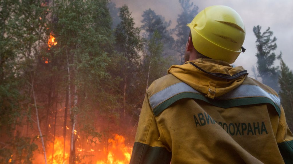 Russia forest fires: New report shows damage worst since records began ...