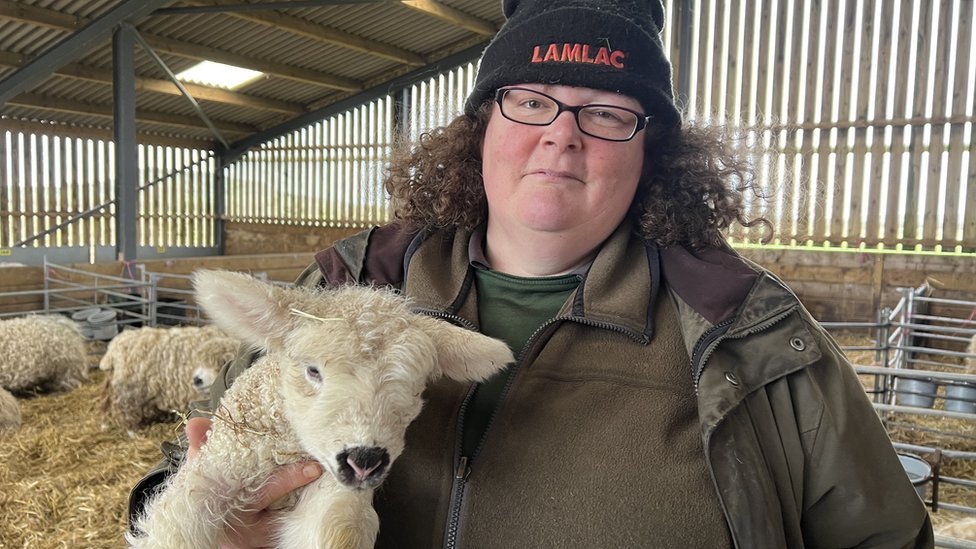 Lamb Syndrome