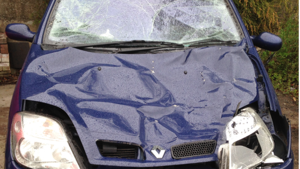 Woman 'could have been killed' in 40mph crash with cow - BBC News