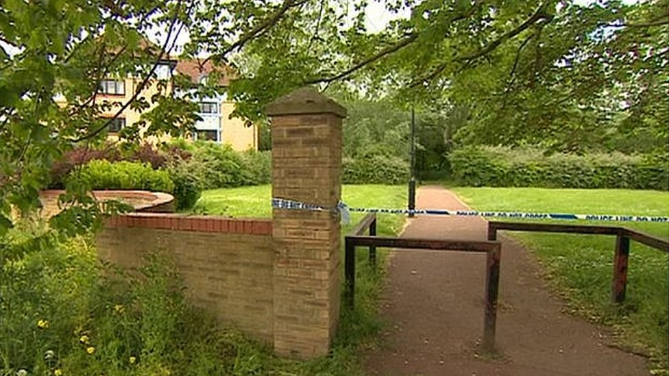 Lee Irving killing: Defendant is 'easily led', court hears - BBC News