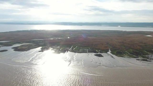New Humber Estuary island becomes nature reserve - BBC News