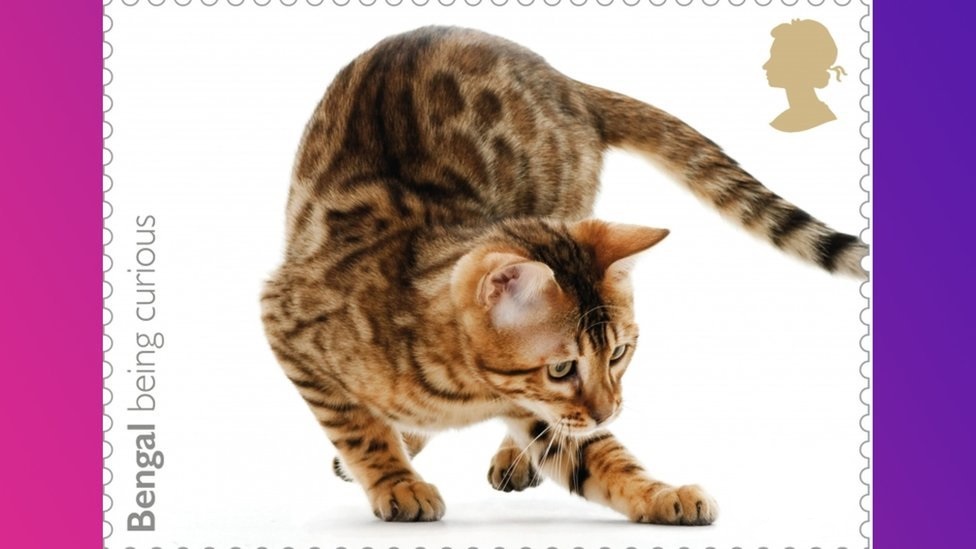 Royal Mail: New cat stamps released - CBBC Newsround
