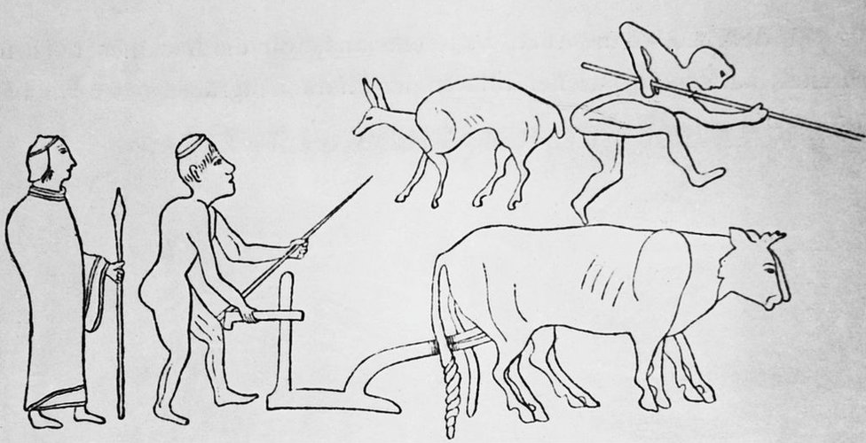How the plough made the modern economy possible - BBC News