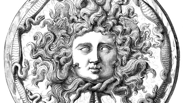Ilustracao Cientifica De Medusa Já Há Pistas Sobre Como A “medusa