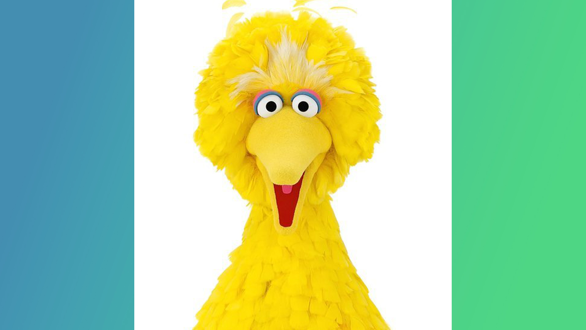 Film and TV locations: Sesame Street and other real-life connections ...