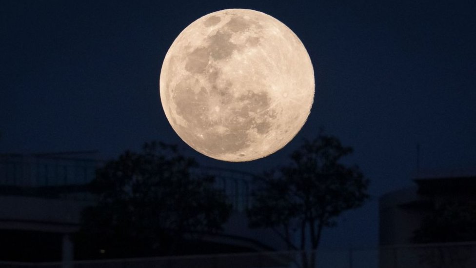 Wolf Moon: Check out the view from around the world - CBBC Newsround