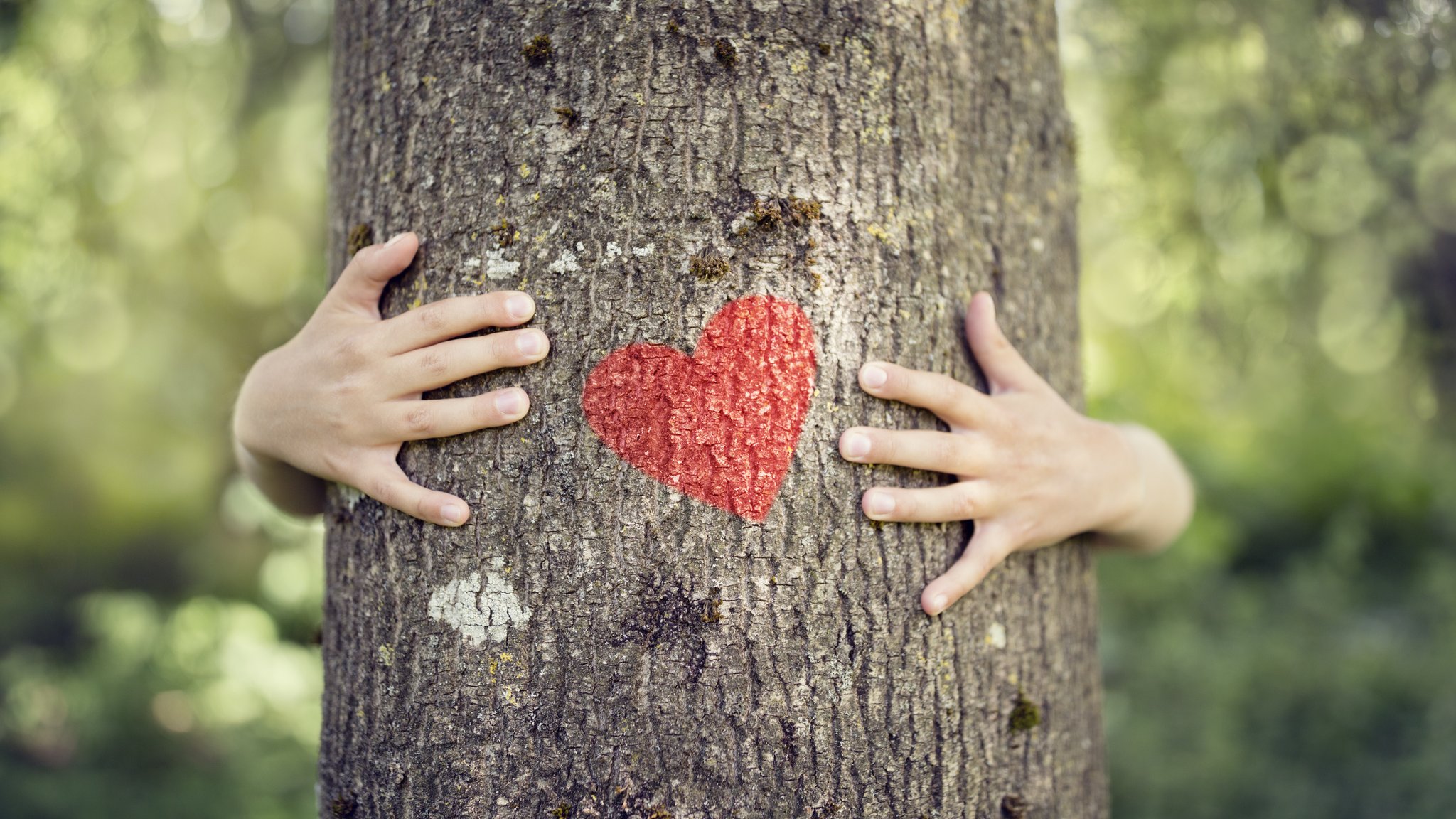 It's a fact - nature is good for you! - CBBC Newsround
