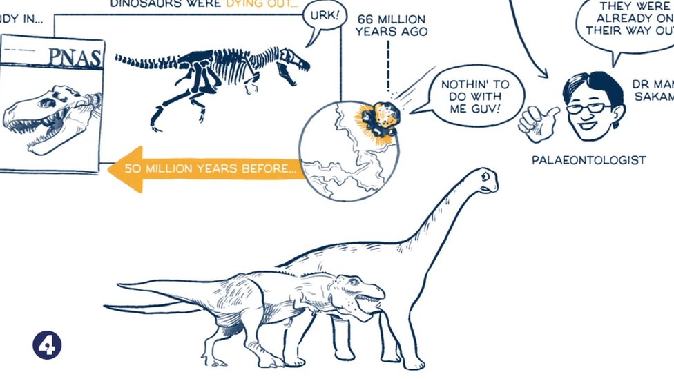 What happened to dinos? An animation - BBC Newsround