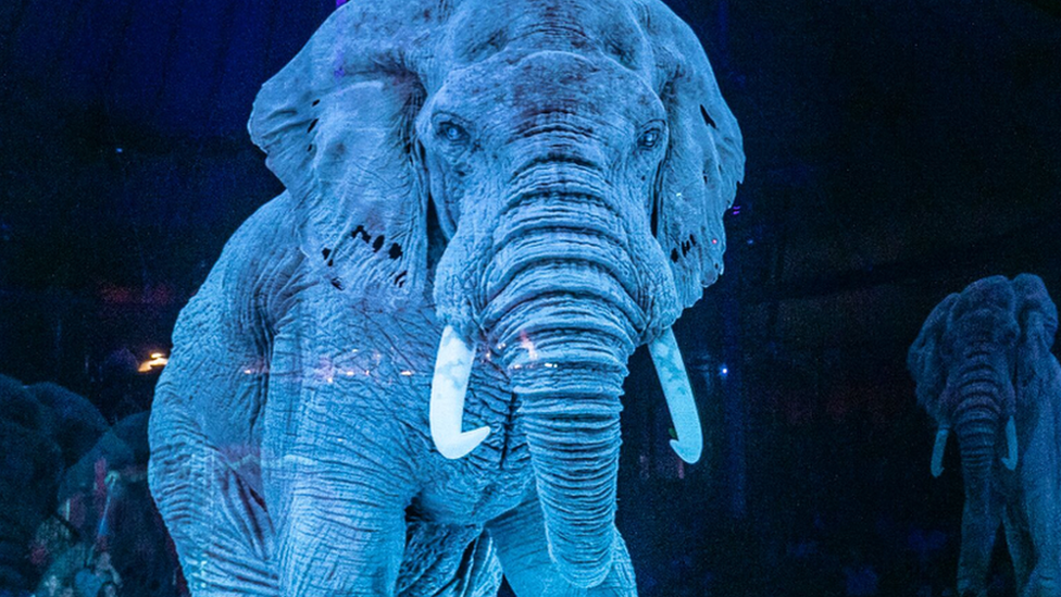 A German circus uses holograms instead of animals and it looks amazing ...