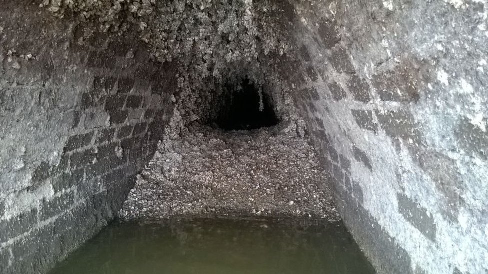 Take a look at this tunnel blocked by mussels - CBBC Newsround