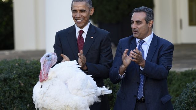 Obama pardons pair of turkeys named 'Honest' and 'Abe' - BBC News