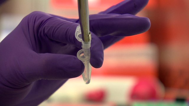 GM embryos: Scientists say research is essential - BBC News