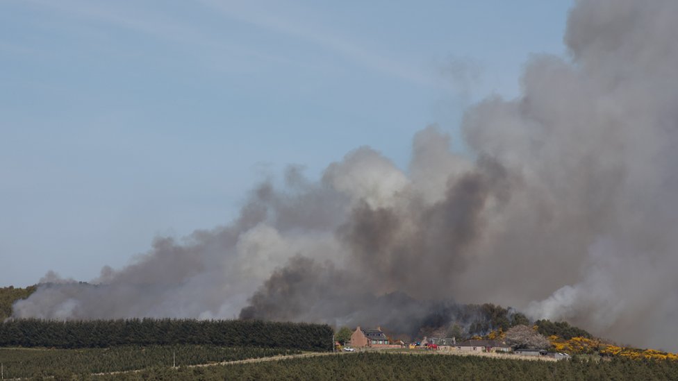 Firefighters tackle large wildfire on Black Isle - BBC News