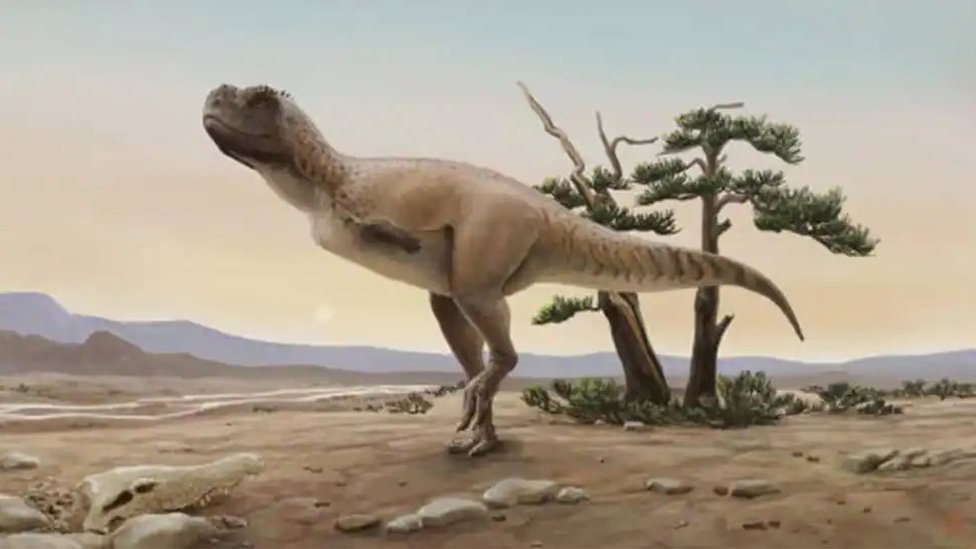 Brazil dinosaur discovered from 70 million years ago! - CBBC Newsround