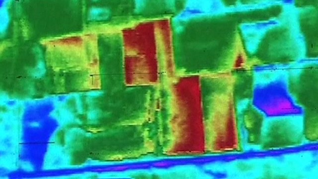 Great Pyramid of Giza: Why are there three hot bricks? - BBC News