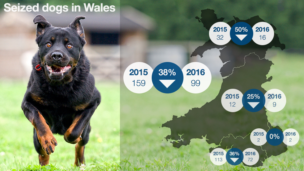 Dog attacks reported to police forces rise, figures show - BBC News