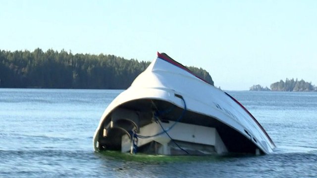 Canada whale-watching boat 'hit by wave' - BBC News