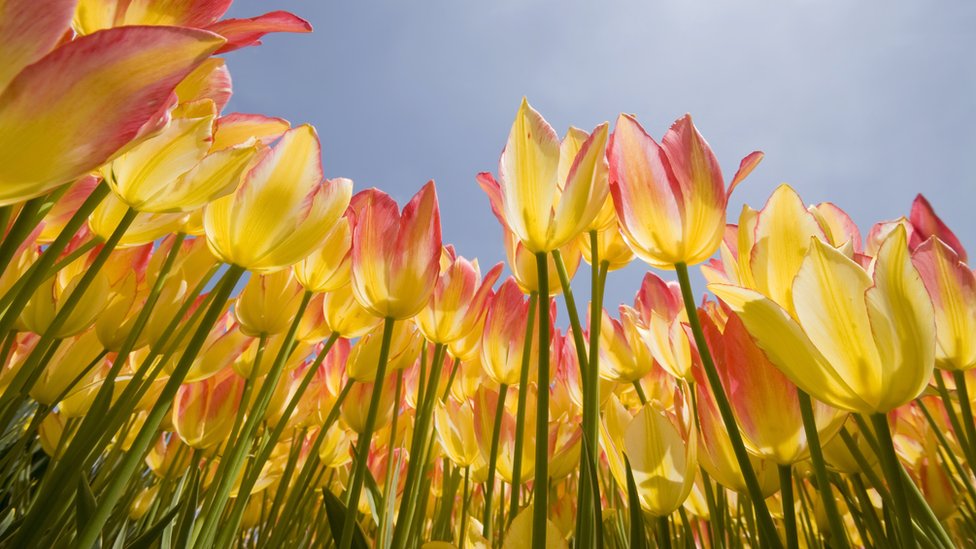 Why are nights and days different lengths over the year? - CBBC Newsround