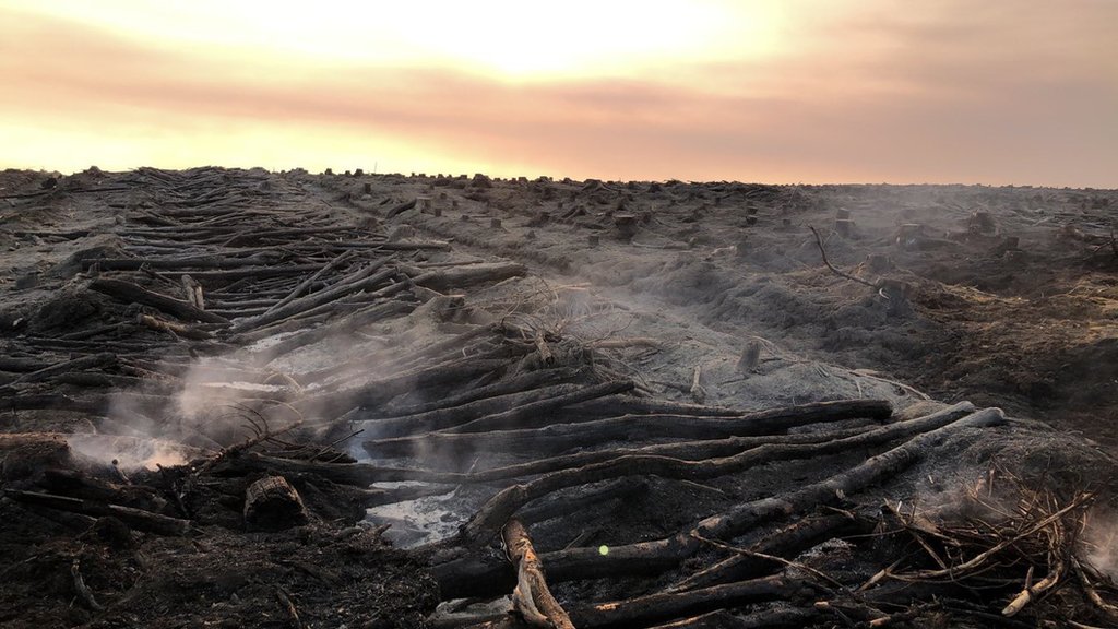 Aerial image shows scale of days-long wildfire in Sutherland - BBC News