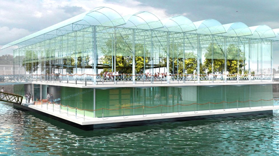 The world's first floating farm making waves in Rotterdam - BBC News