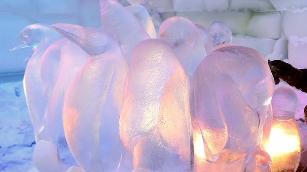Ice work! Incredible frozen sculptures - CBBC Newsround