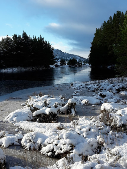 BBC News - Your pictures of Scotland: 27 November - 4 December