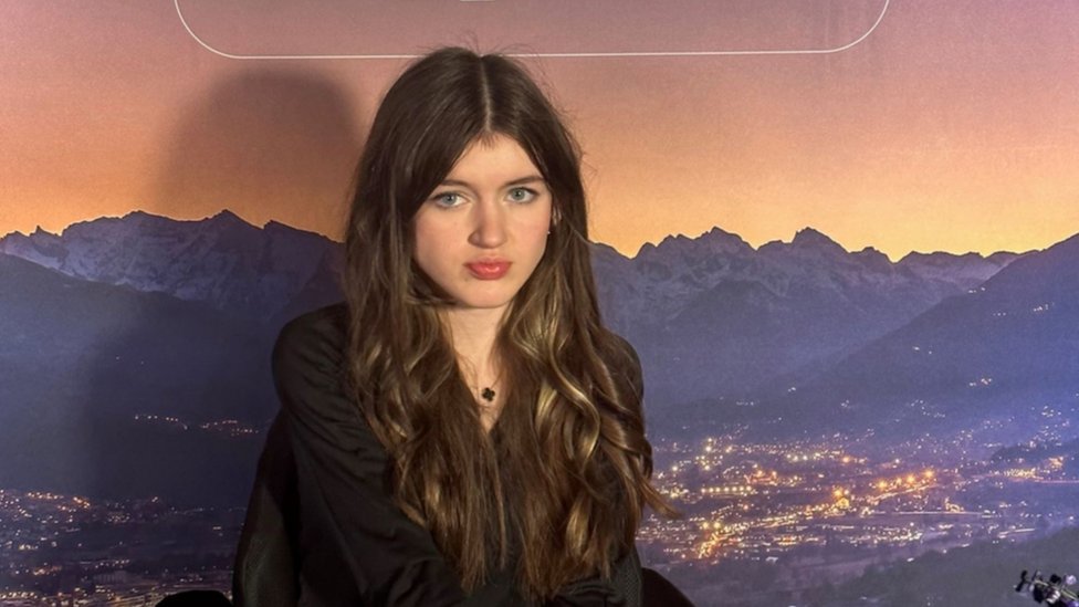 Cerebrum Latina Disney Timon | Disney Wiki | Fandom