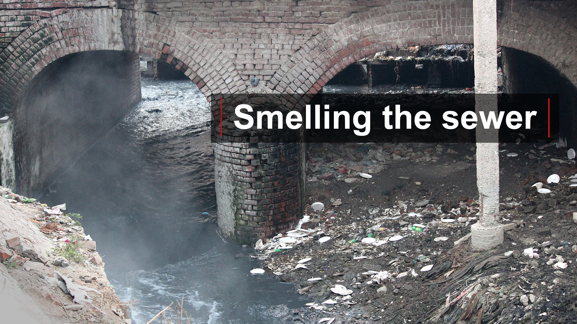 Smelling an open sewer in Kanpur, India - BBC News