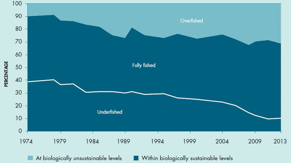 UN: Global fish consumption per capita hits record high - BBC News