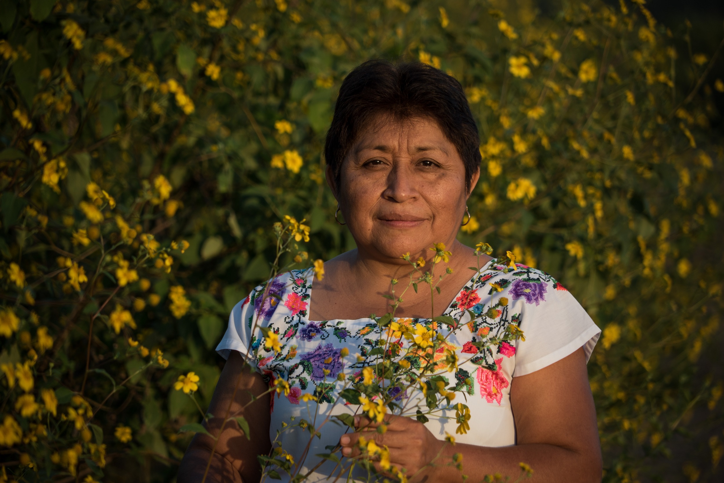 Leydy Pech, la "guardiana de las abejas" que le ganó una batalla a ...