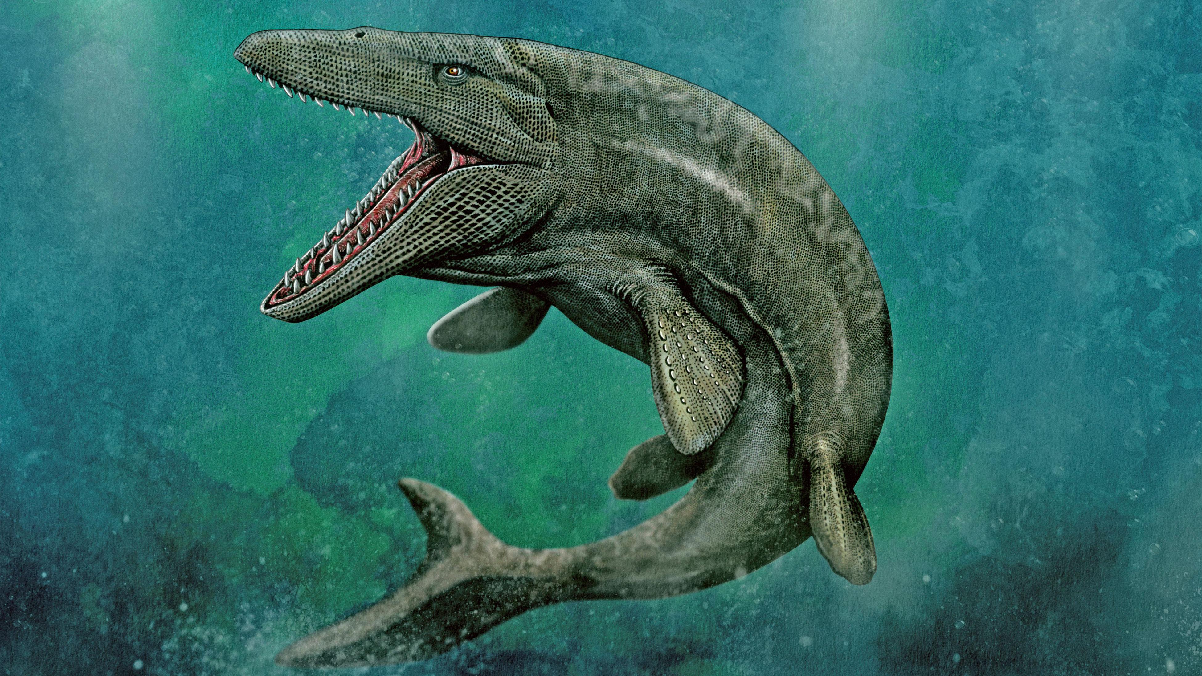 Dinosaur Train Mosasaurus