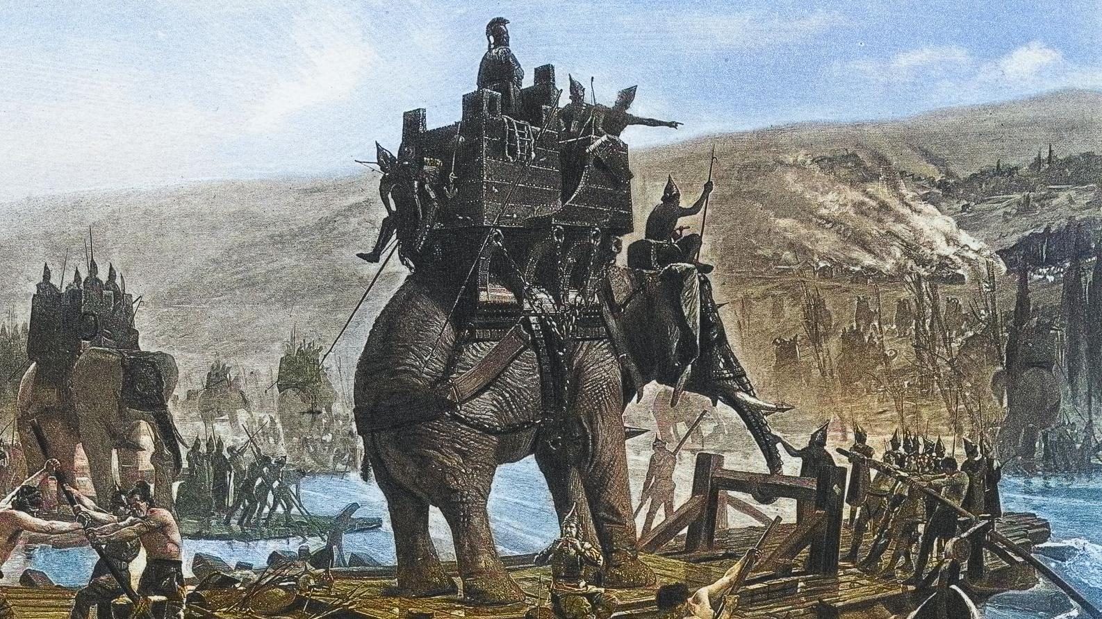 War Elephants Used In England